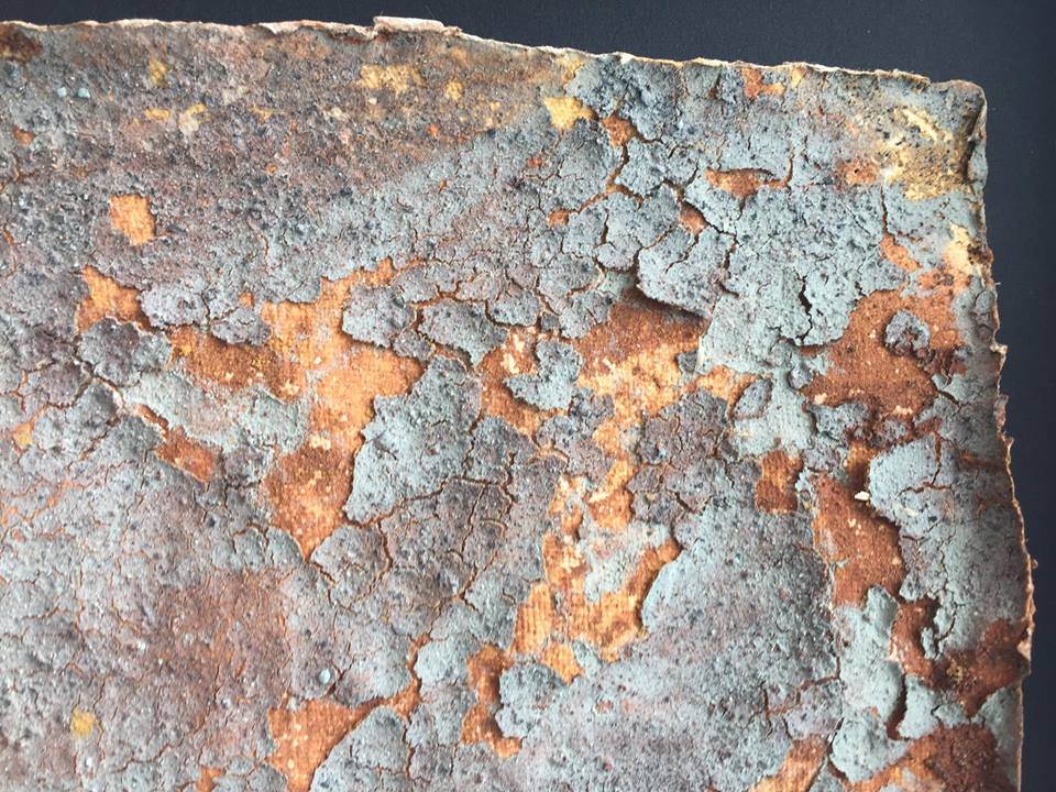 Gil Martin: From the Ground Up - Capital City Arts Initiative